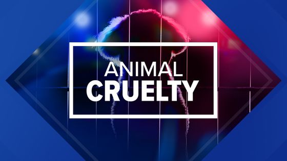 2 arrested for animal cruelty | The Era-Leader